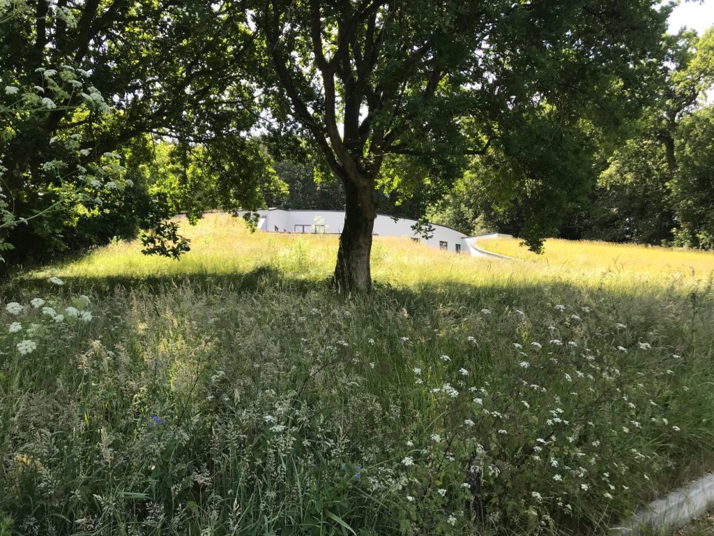 Paragraph 79 HouseBow Brickhill - Smith Jenkins